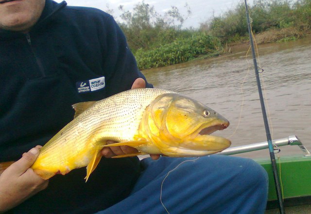 Gobierno de Entre Ríos